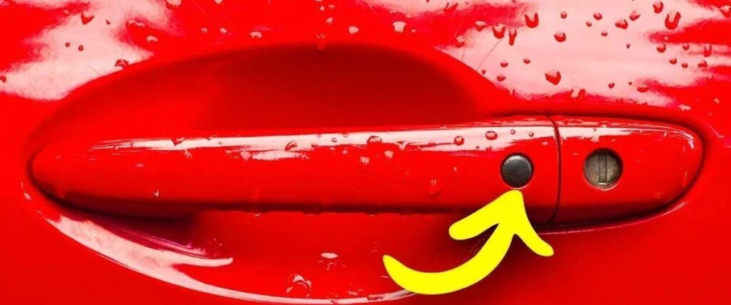 Wozu dient der Knopf am Griff des Autos? Es hat eine unbekannte, aber ...